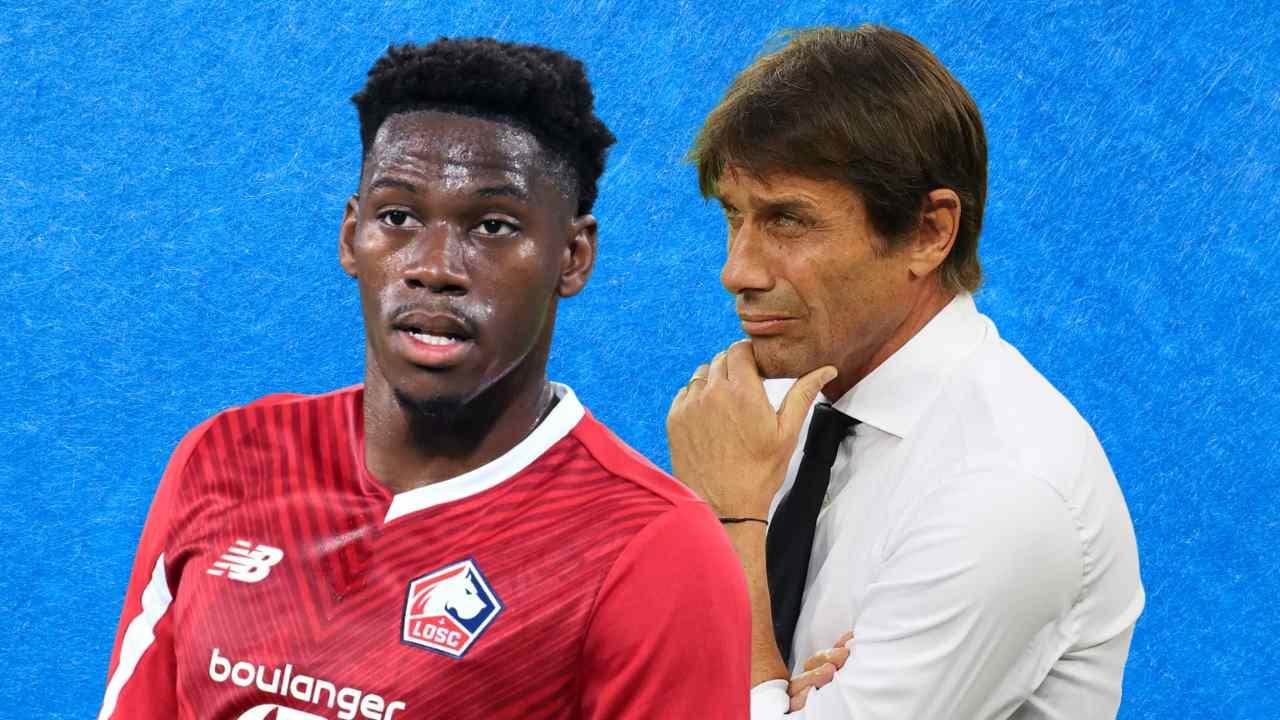 David-Napoli, Pedullà: "L'entourage chiede tanto ma può essere ...